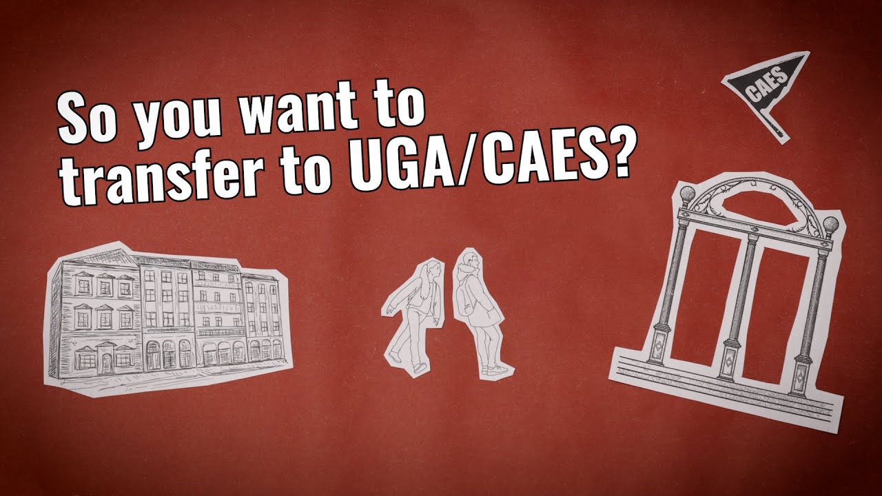 So you want to transfer to UGA CAES? - YouTube