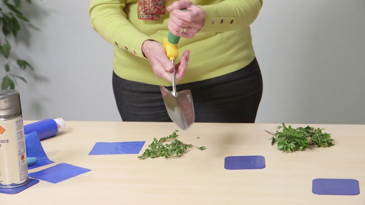 House and Garden Aids to help with hand osteoarthritis - YouTube