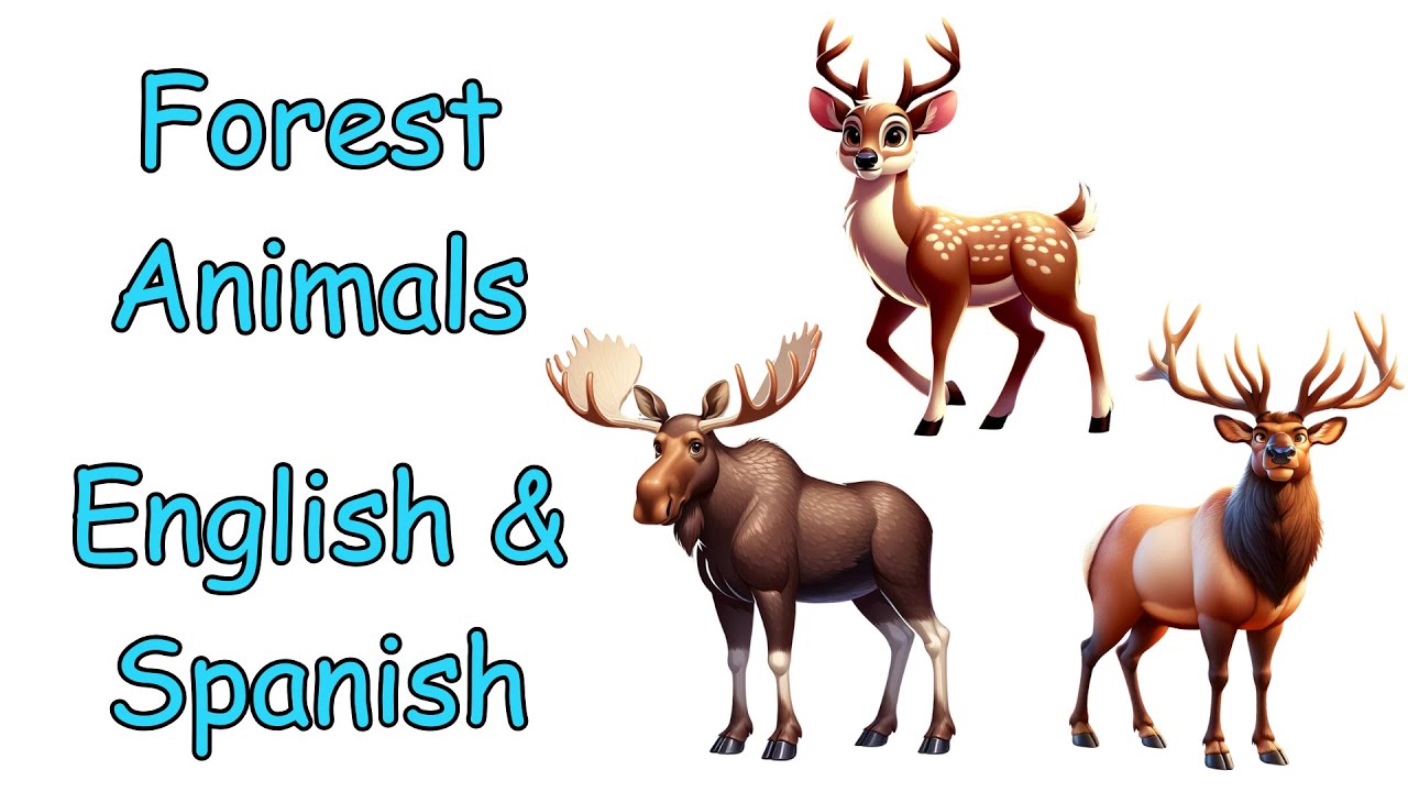 Forest Animals | Hooves & Antlers | Learn Spanish for Kids | Learn ...