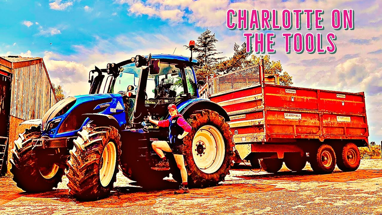 Animal updates, Charlotte on the tools 🛠️ fix fix fix | Charlotte ...