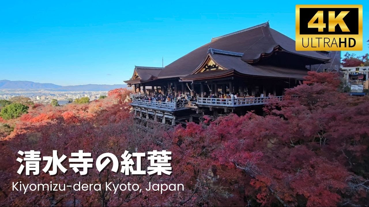 Kiyomizu Dera Famous Fall Foliage! The most visited place in Kyoto in ...