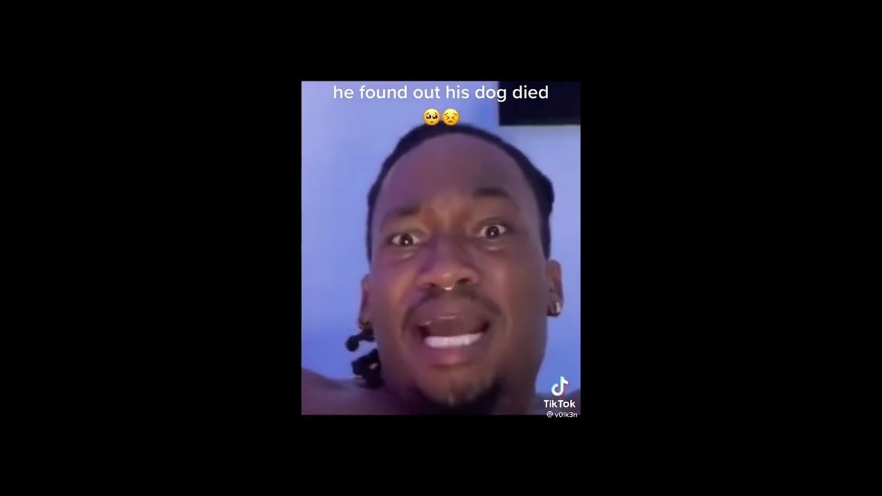 Best of Flop Tok - YouTube