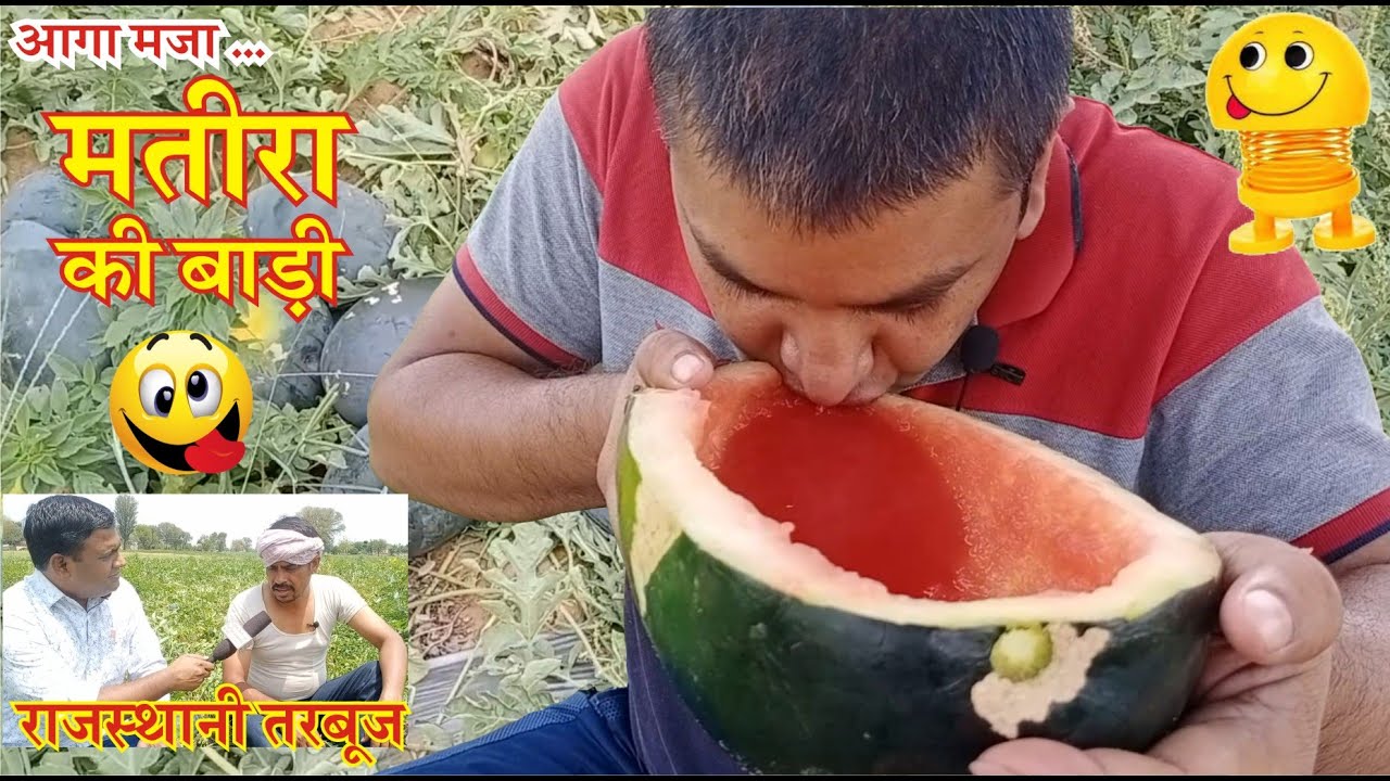 🍉 मजा आगा | मतीरा की बाड़ी | तरबूज | Watermelon and Friends in a ...