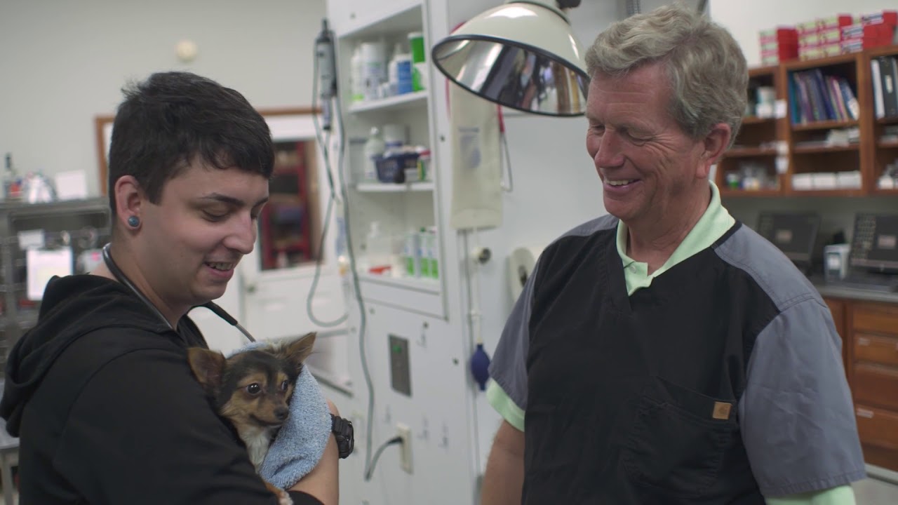 Why I Joined NVA: Waterville Veterinary Clinic - YouTube