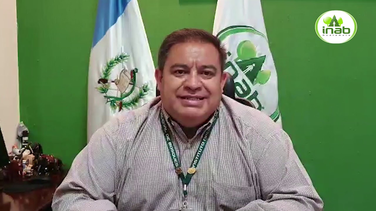 INAB pagó alrededor de 30 millones de quetzales en programas de ...
