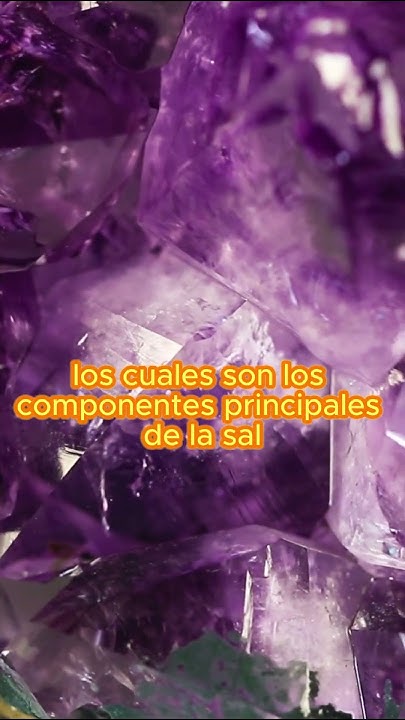 ¿Por qué el Océano es Salado? ¡La Respuesta te Sorprenderá! # ...