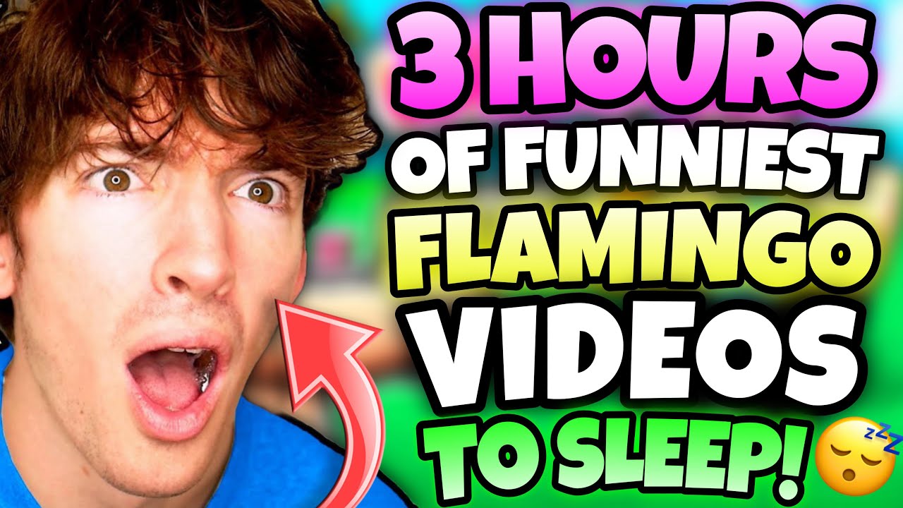 *3 HOURS* OF “BEST “FLAMINGO VIDEOS! (ROBLOX/MARATHON) - YouTube