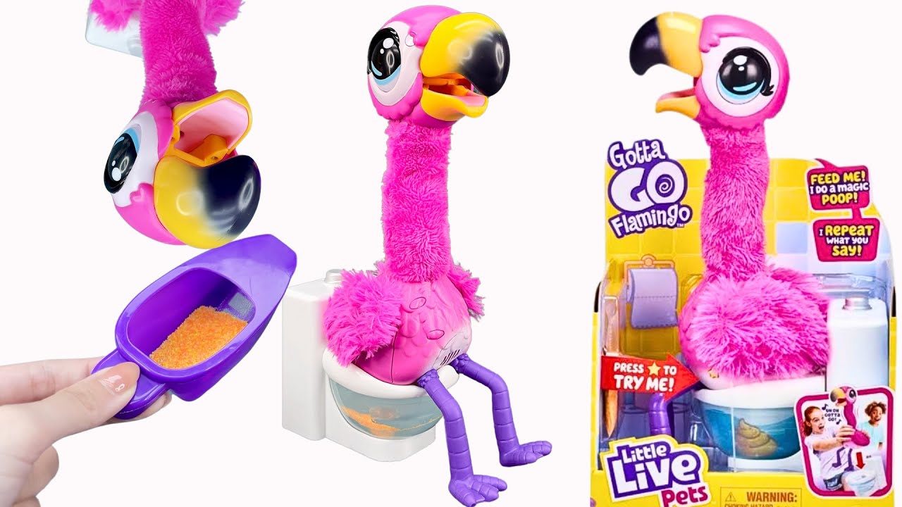 [toy asmr]🦩Funny Flamingo Toy Eats & Poops! Gotta Go Flamingo Review ...