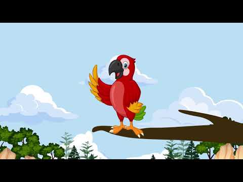 Hayvanları Tanıyalım! (Arı, Papağan, Martı, Kelebek ve Dahası) | Çocuklar İçin Eğitici Video