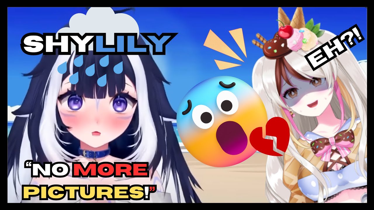 Shylily Calls Out VTubers Not Covering Her Face After Twitch Con... - YouTube