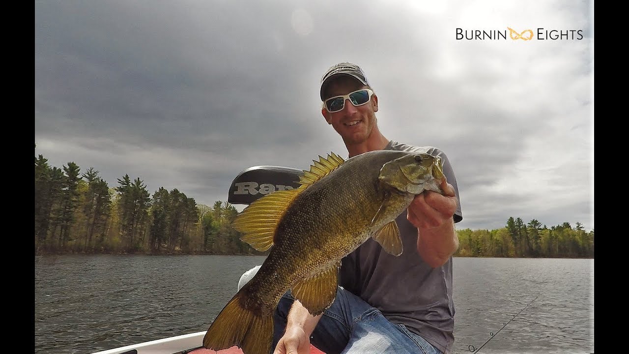 Spring Bass Fishing Northern Wisconsin + Bonus Musky! - YouTube