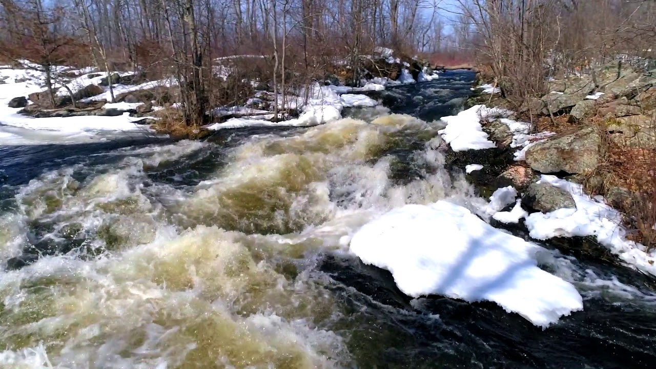 English Stream - YouTube