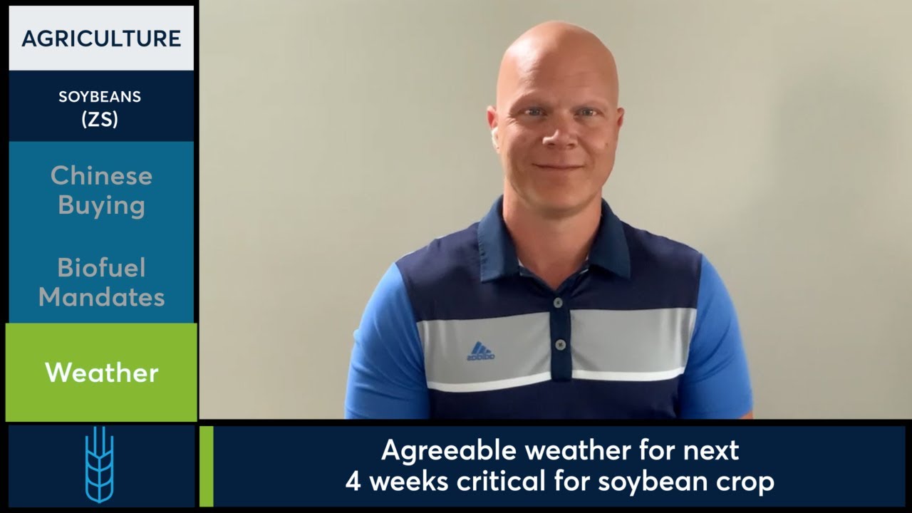 August 25 Grains Commentary: Ted Seifried - YouTube