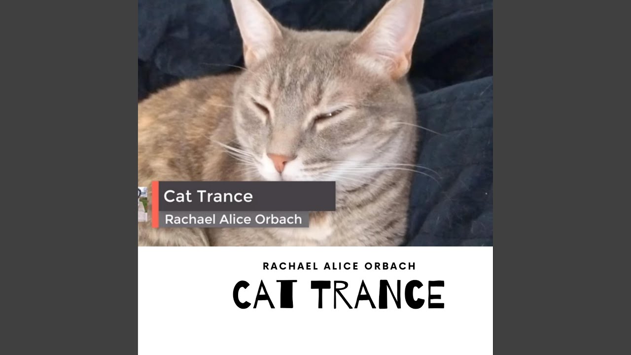 Cat Trance - YouTube