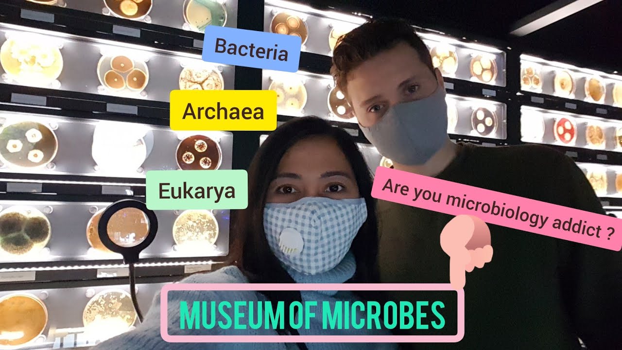 Museum of Microbes Micropia - YouTube