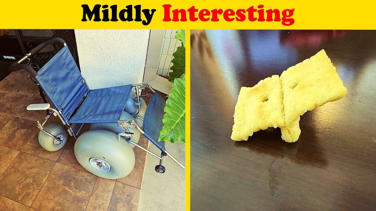 ‘Mildly Interesting’ Pics To Make Just Another Day A Little Bit More ...