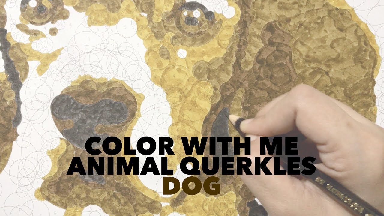Color With Me 04 - Animal Querkles - Dog - YouTube
