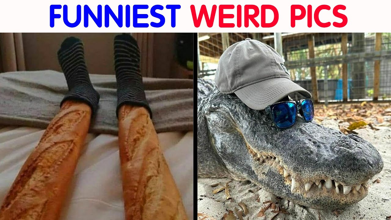 Hilariously Random Posts Shared On This Insta Account - YouTube
