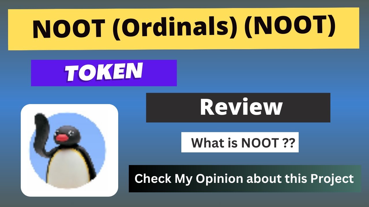 What is NOOT (Ordinals) (NOOT) Coin | Review About NOOT Token - YouTube
