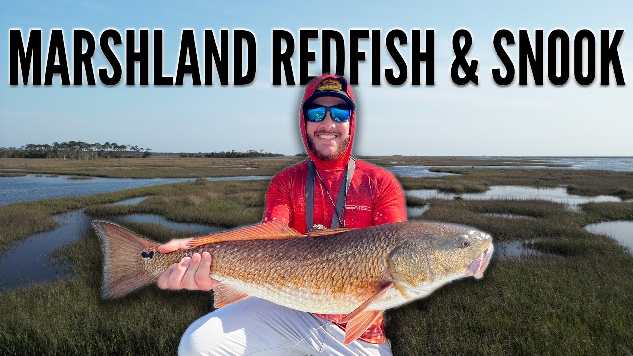 Inshore Lure Fishing: Catching Big Redfish & Snook! - YouTube
