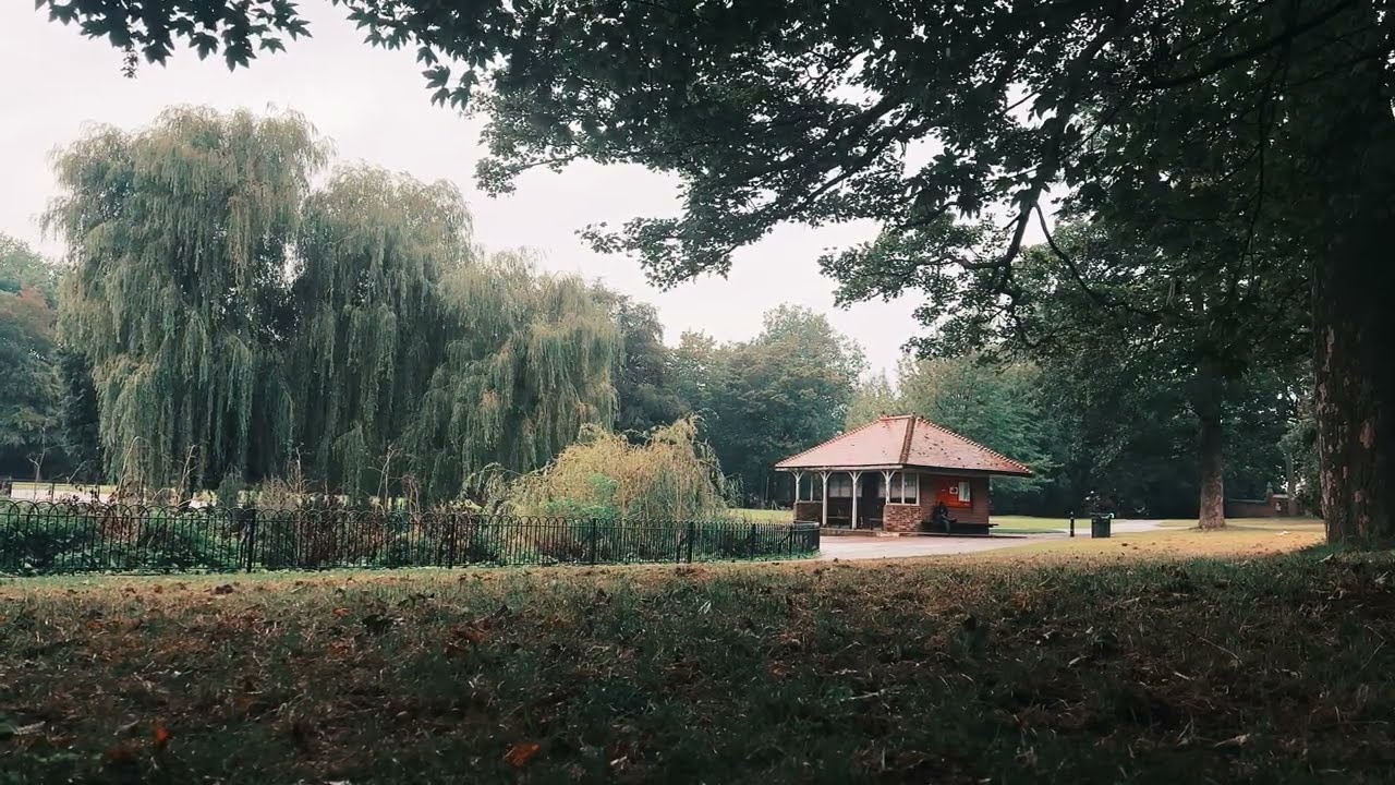 SOFT RAIN WITH BEAUTIFUL SCENERY | HELPS STRESS RELIEF, DEEP SLEEP ...