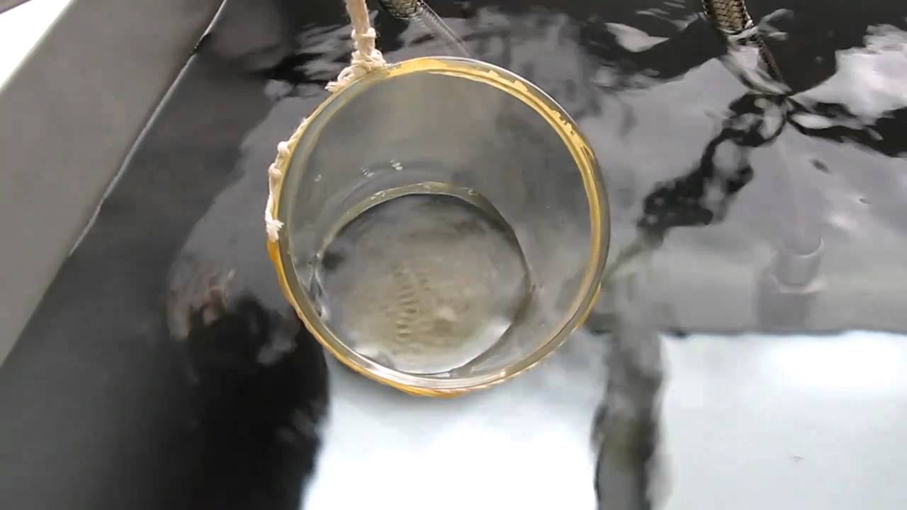 Supersonic wave (basic experiment)no.103 - YouTube