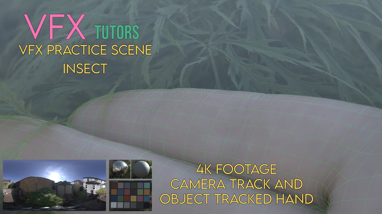 VFX Creature Animation - Insect - YouTube