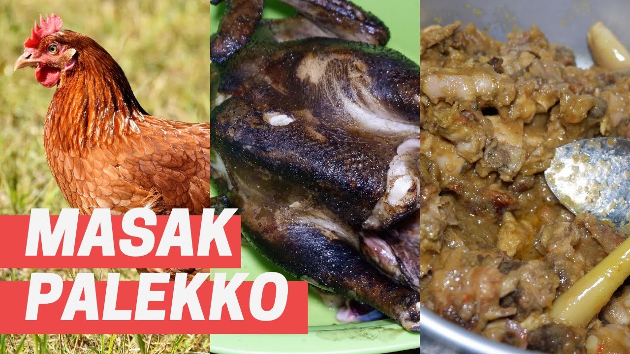 Indonesia street food traditional I Cara Masak Palekko 🍗 [Part 1] - YouTube