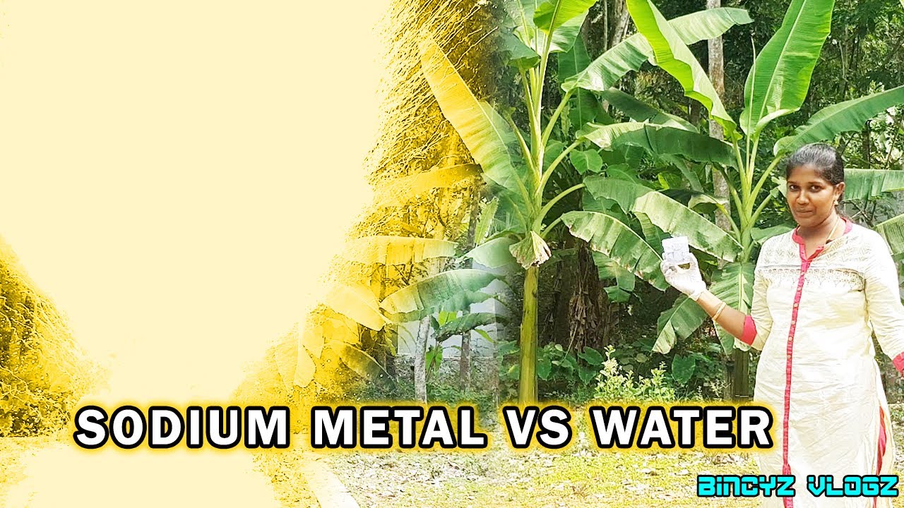 Sodium Metal vs Water Experiment in Tamil | Sodium Metal Experiment ...