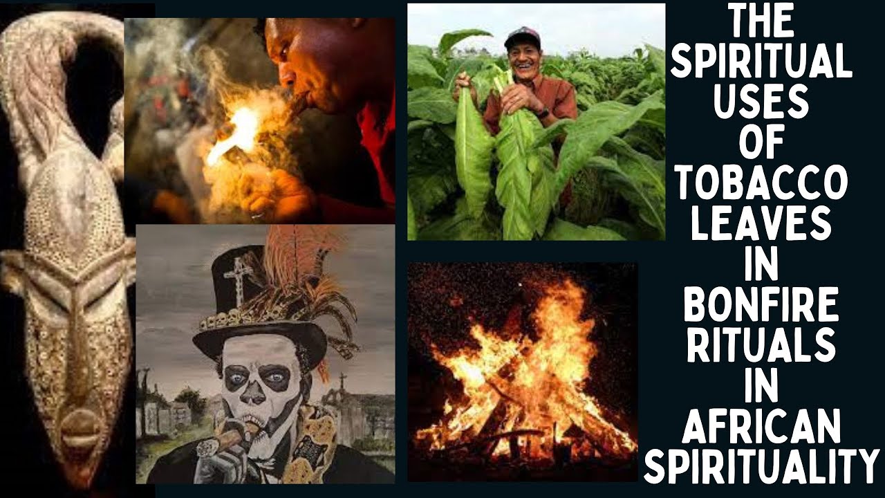 The Spiritual Uses of Tobacco Leaves in Bonfire Rituals in African ...