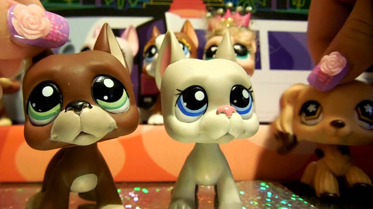 Moje LPS dogy - YouTube