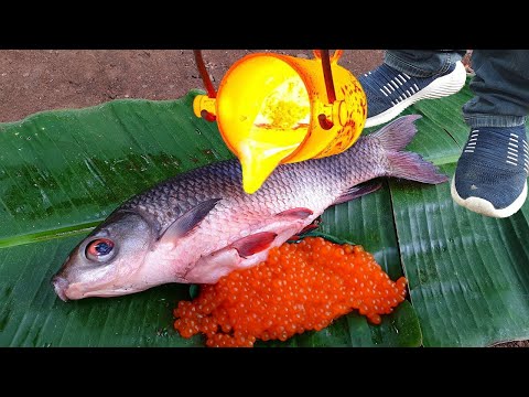 Experiment: Lava vs Fish full of Eggs
