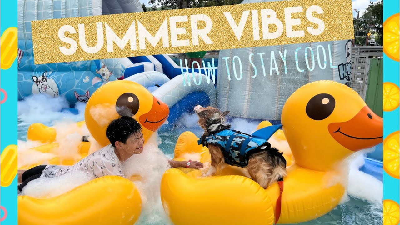 Pool party for dogs 💦 Water Parks now open for dogs. Can Corgi swim ...