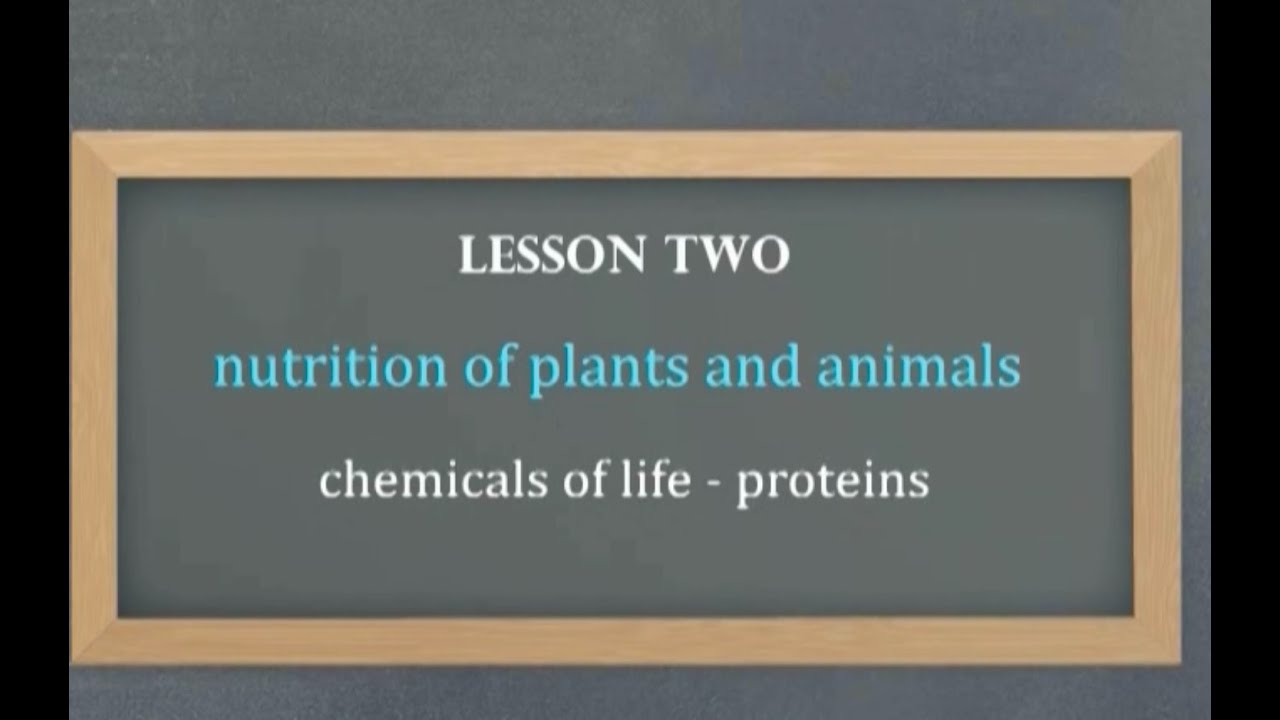 Biology form 1 chemicals of life lesson 2 - YouTube