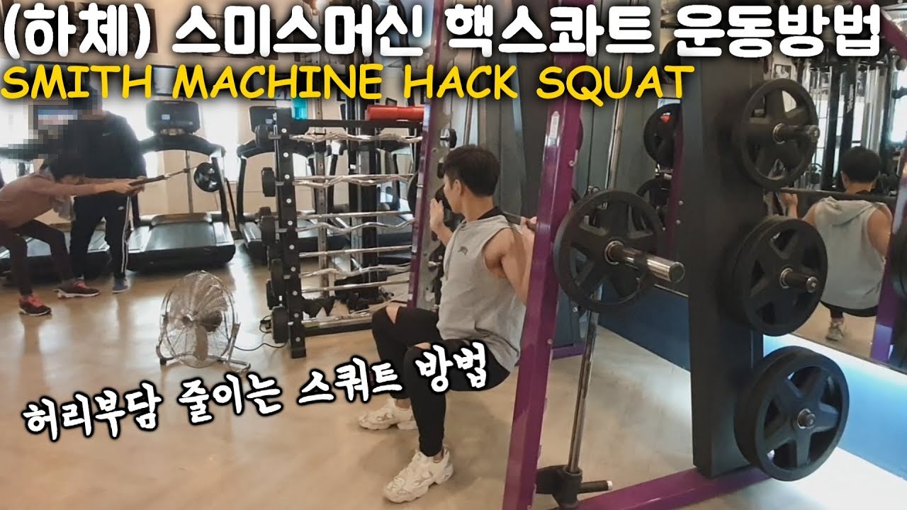 (하체) 허리부담없는 스미스머신 핵스쾃 운동방법 SMITH MACHINE HACK SQUAT - YouTube