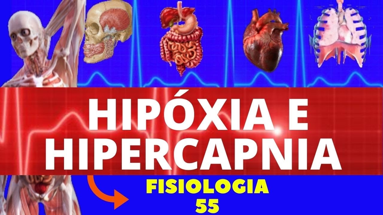 HIPÓXIA E HIPERCAPNIA (FISIOLOGIA HUMANA) - FISIOLOGIA DE GUYTON ...