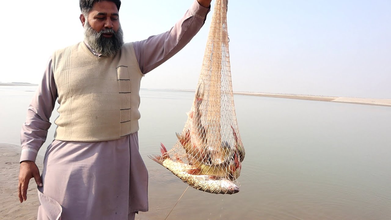 Full Night Fish Hunting At River Chenab with Friends | Fishing at ...