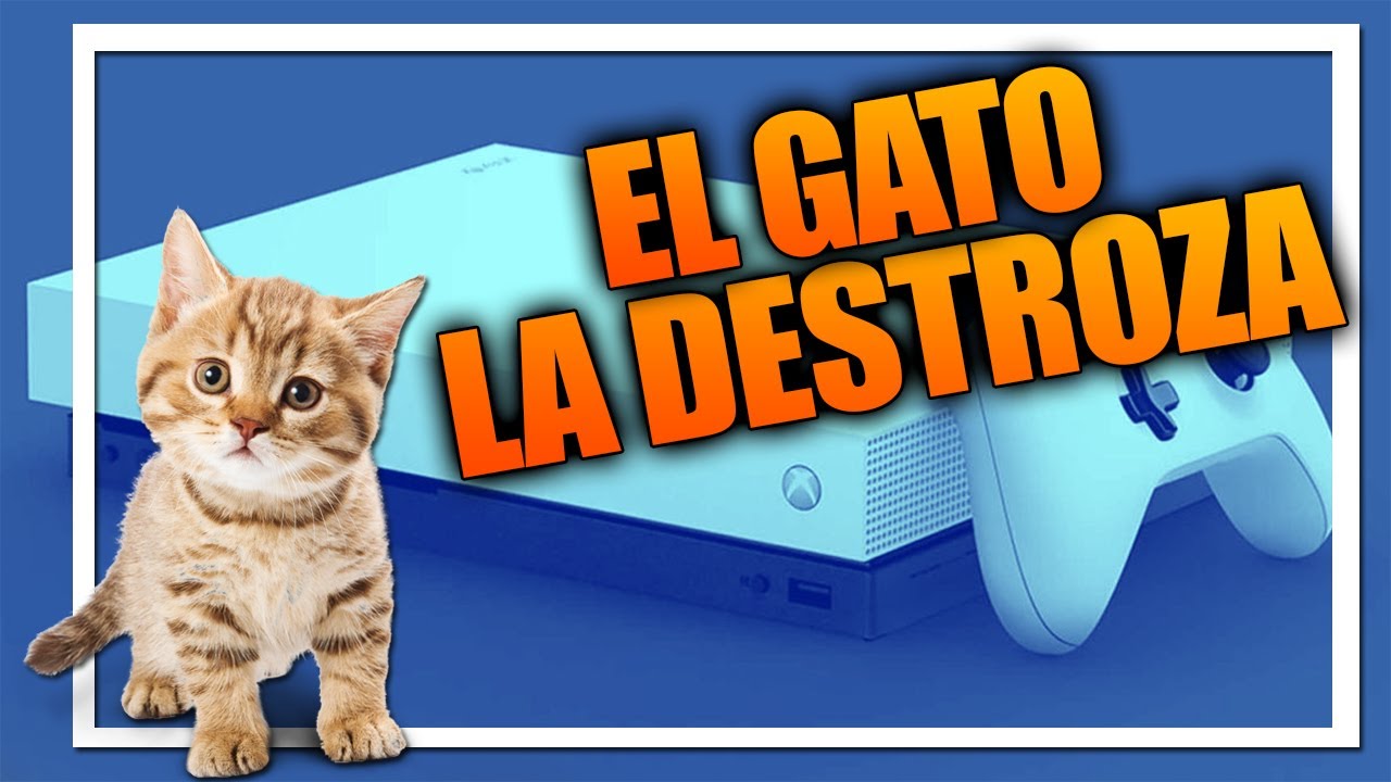ESTA XBOX ONE LA MEO UN GATO! TENDRA SOLUCION?? - YouTube