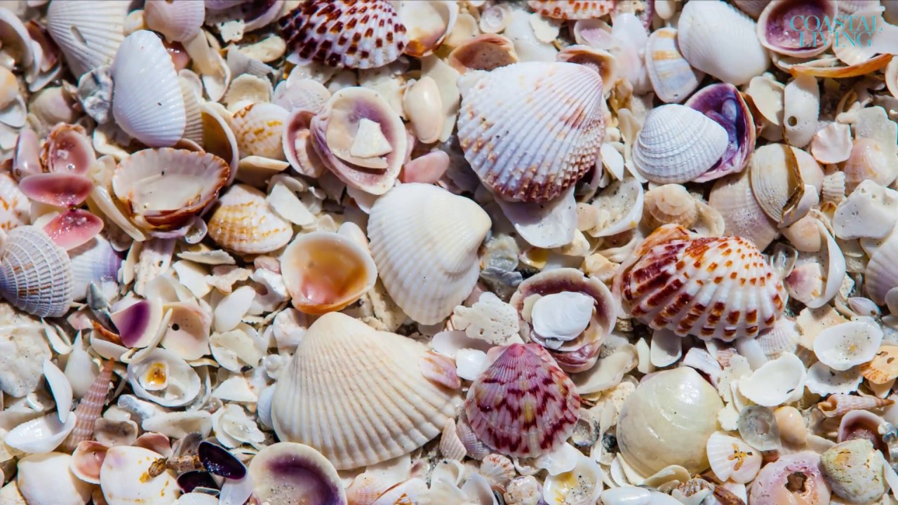 10 Best Little Beach Towns in Florida | Coastal Living - YouTube