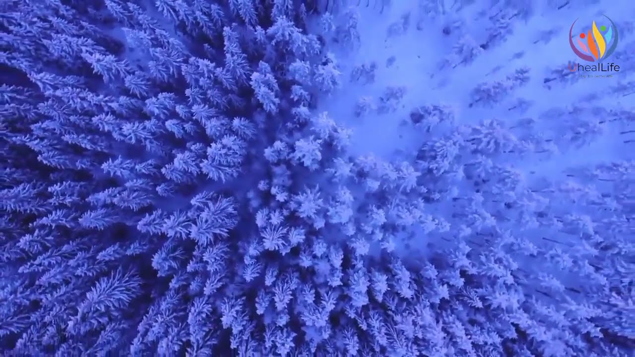 How to focus on real life | focus is a muscle that you can build if you ...