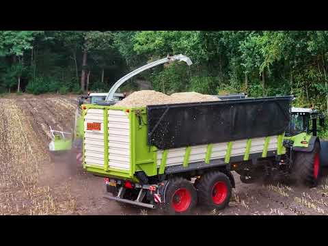 Chopping the FIRST Maize of 2026! | Claas Jaguar New Holland & JCB 🌽