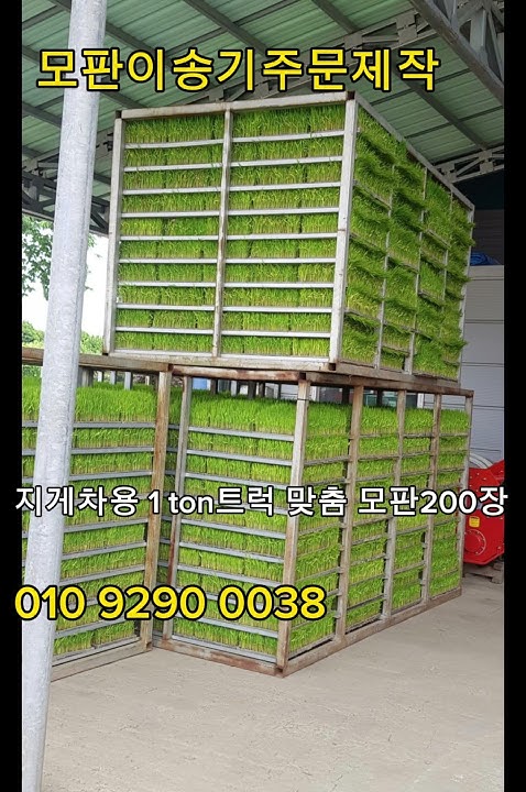 모판이송기 농기계 Ls트랙터 중고트랙터 콤바인 이앙기 중고농기계 Youtube