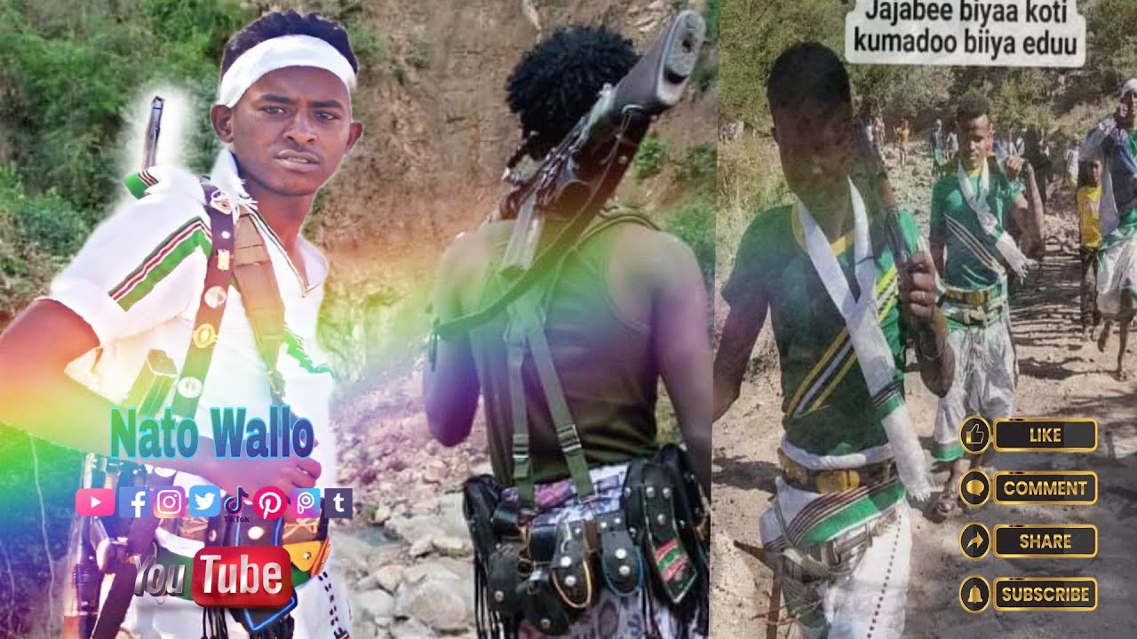 Dhamsa Hatattamaa Oromoo Walloo - Galatooma Oromo ️ {- OMN - OMN MEDIA ...