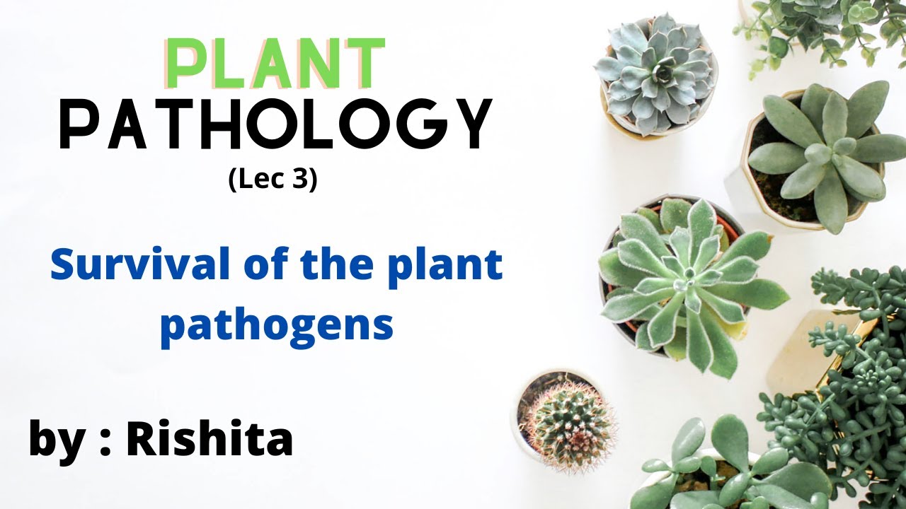 Survival of plant pathogens • Plant Pathology lec 3 • Go For ...