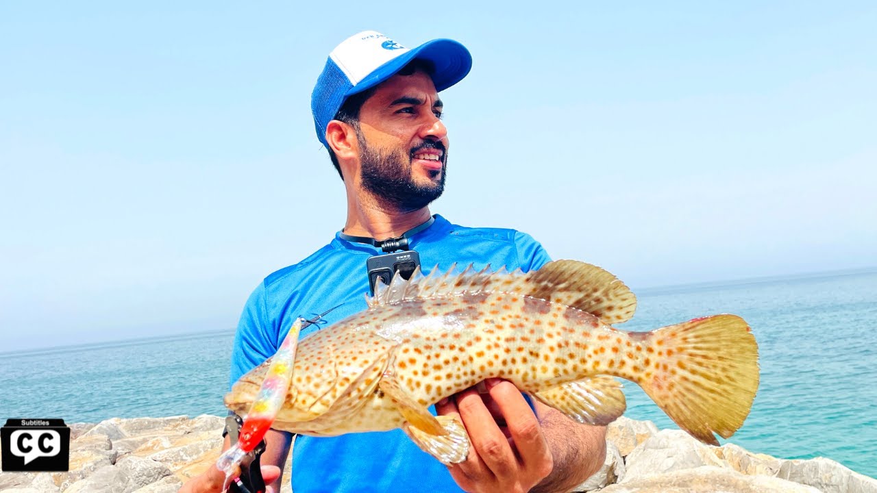 Tug of War with Grouper Fish (Hamour) | Rock Fishing in Beautiful Shore ...