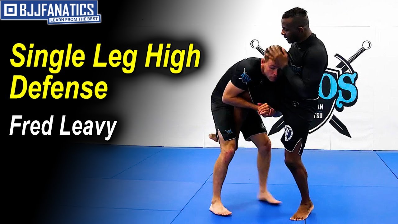 Single Leg High Defense by Fred Leavy - YouTube