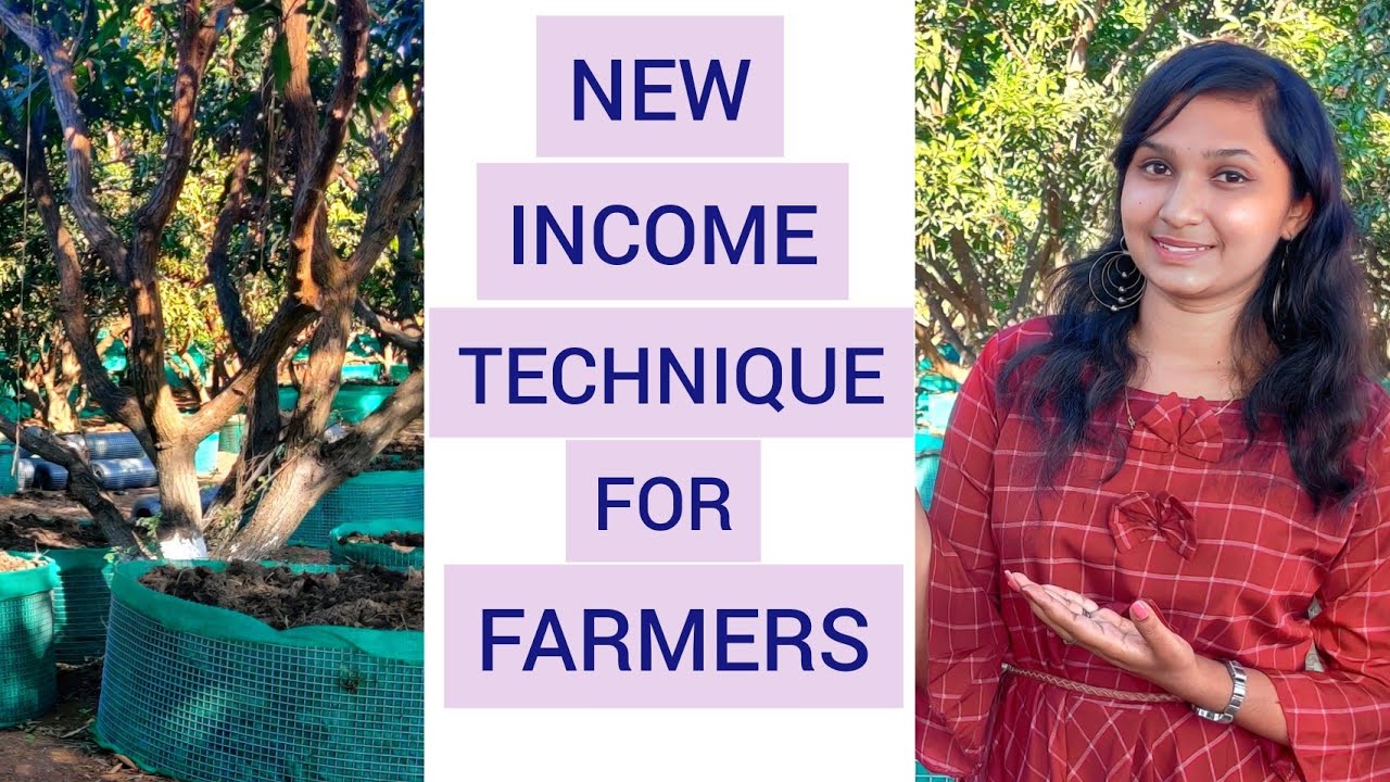 ORGANIC 🌱|VERMI RING COMPOST METHOD🌳|EXCLUSIVE FOR FARMERS ♥️ - YouTube