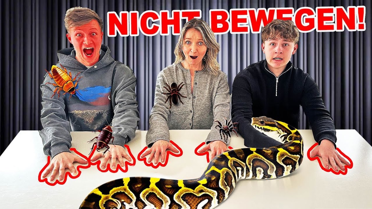 NICHT BEWEGEN 🤚 Try NOT to MOVE Challenge 🐍 TipTapTube - YouTube