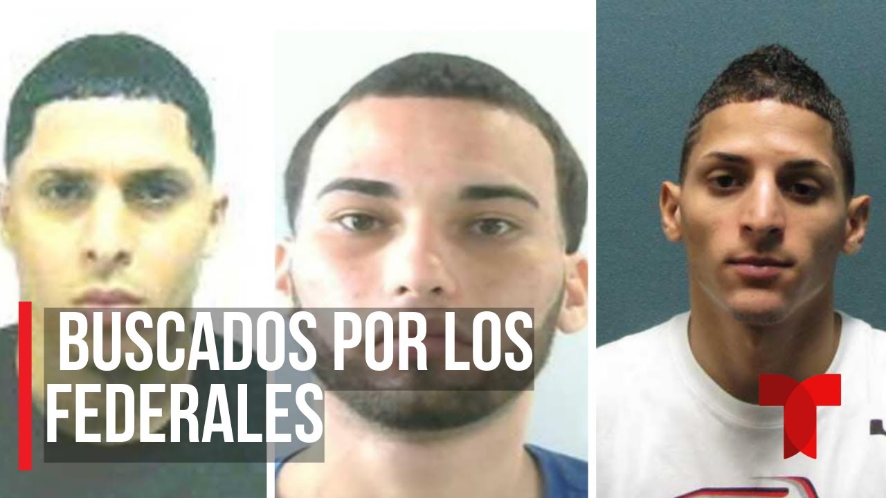 Buscan a presuntos miembros de la peligrosa ganga "Hasta los Marcian ...