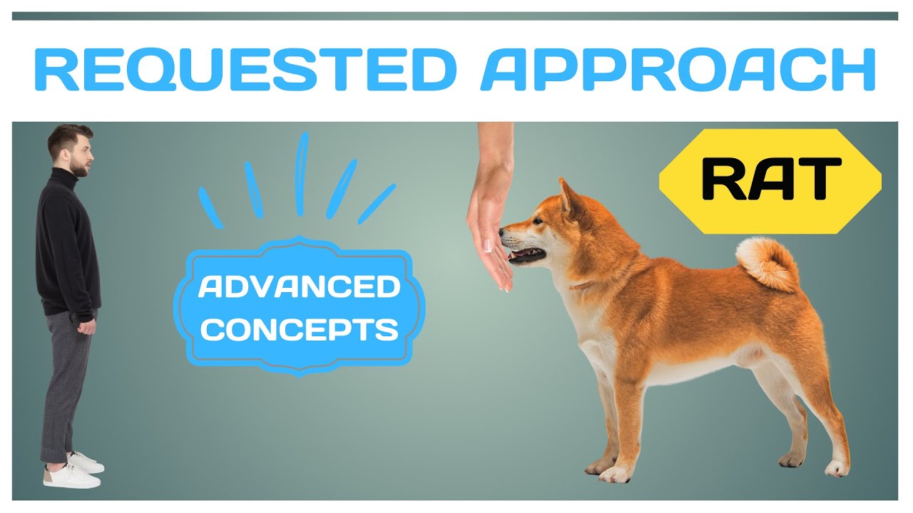 Requested Approach Training RAT: ADVANCED CONCEPTS - YouTube